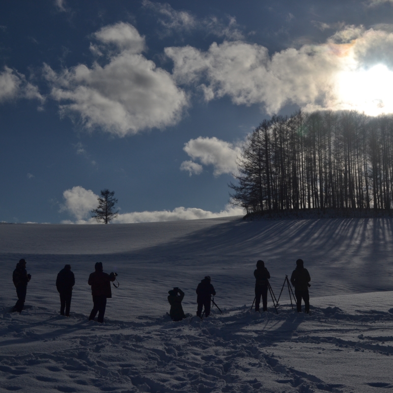 Winter Photography｜Furano Tourism Association Official Website Furano index