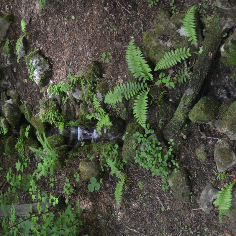 Ningle Terrace｜Furano Tourism Association Official Website Furano index