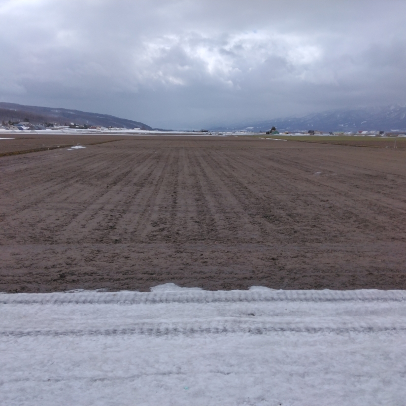 Spring is Coming｜Furano Tourism Association Official Website Furano index